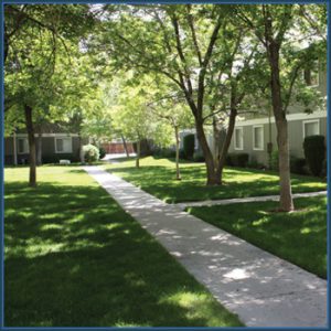 Buff Management Properties